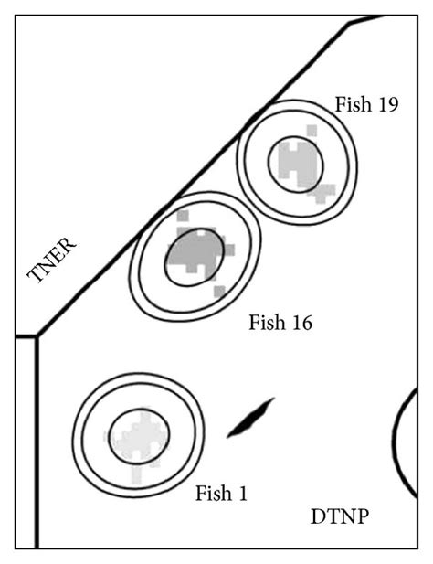 Configuration Of Simulated Acoustic Array White Circles Relative To