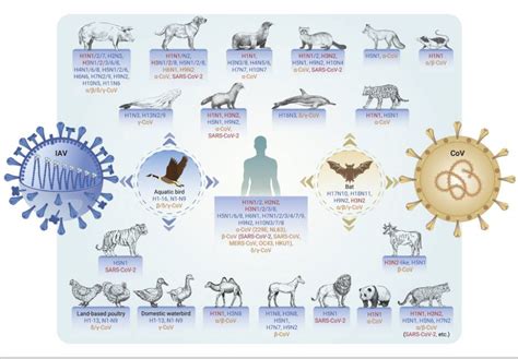 中国流感监测数据同比暴增，你知道它合并新冠的危害有多大吗？ 知识分子的财新博客 财新网