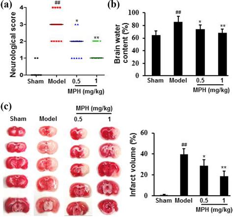 Methylphenidate Exerts Neuroprotective Effects Through The Ampk