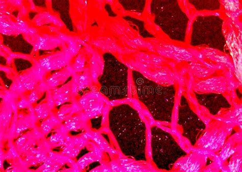 Bright Pink Pattern Fragment Of Fabric Textile Image Under The