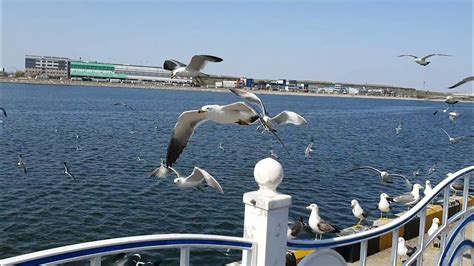 우연히 만난 여자원곡박진석 Youtube