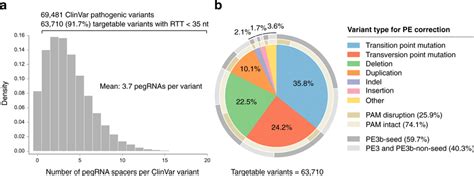Primedesign Analysis Of The Clinvar Database A The Distribution Of The Download Scientific