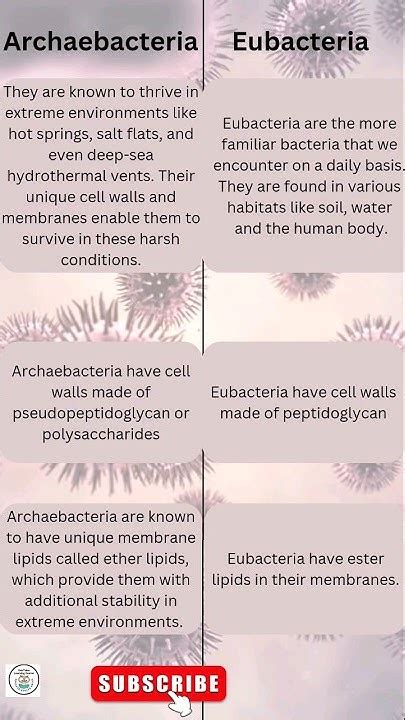 Unveiling The Microbial Realm Archaebacteria Vs Eubacteria Ncert Biology Science Youtube