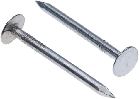 Zinc Plated Large Flat Head Nail Pack Of 100 Pieces Long Galvanised