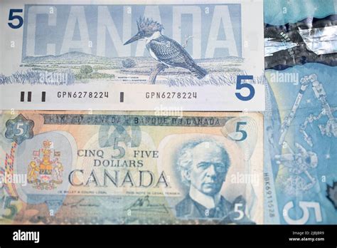 Five Dollar Back