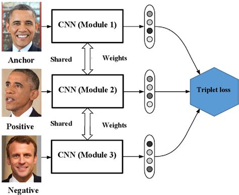 figure 4 from proposing algorithm to localize and extract facial