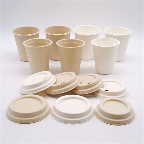 China Biodegradable Hot Cups Manufacturers Suppliers Good Price Biodegradable Hot Cups