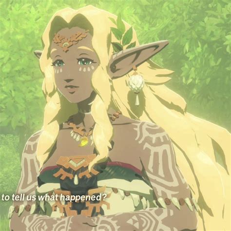 Queen Sonia Sonia From Hyrule Warriors Hylue Warriors Hyrule