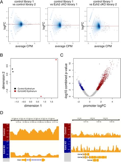 Chip Seq Analysis A Smoothed Scatter Plots Of Means X Axis And