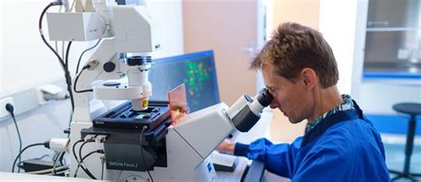 The Global Bio Imaging Market Will Grow At Highest Pace Owing To