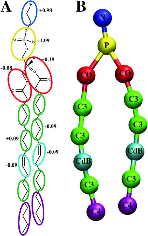 Mapping Scheme Of The Dope Molecule A Atomistic Representation Of
