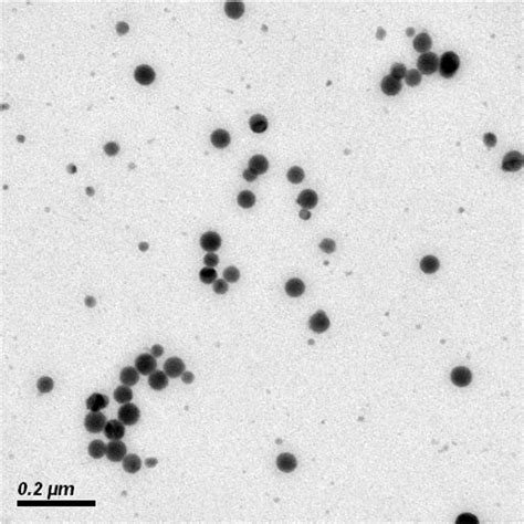 Selenium Enriched Marine Polysaccharide Composition And Preparation
