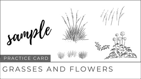 Sample Practice Card Grasses And Flowers
