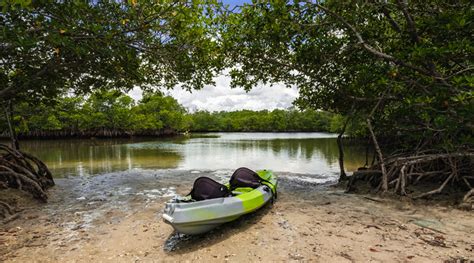 Vibrio Bacteria Infections How To Protect Yourself Unc Health Talk