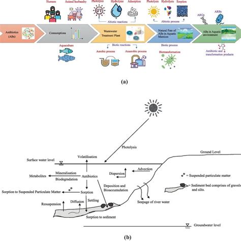 A A Schematic Layout Of Horizontal Subsurface Flow In The Constructed Download Scientific