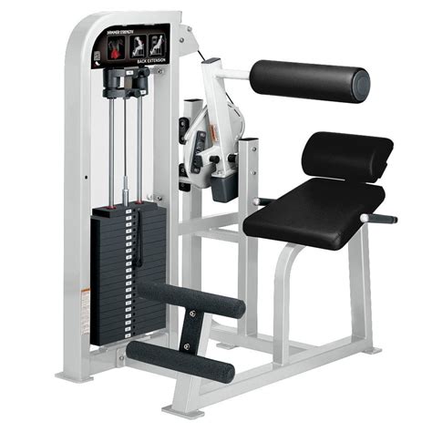Hammer Strength Back Extension Preowned Hammer Strength Life Fitness