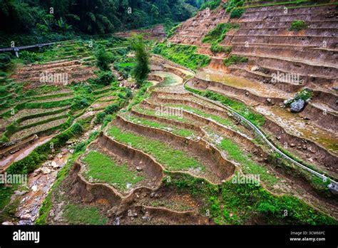 Aerial View Of Steep Terraced Rice Fields On A Hillside In Sapa Lao