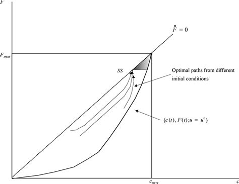 possible optimal paths from different starting conditions download