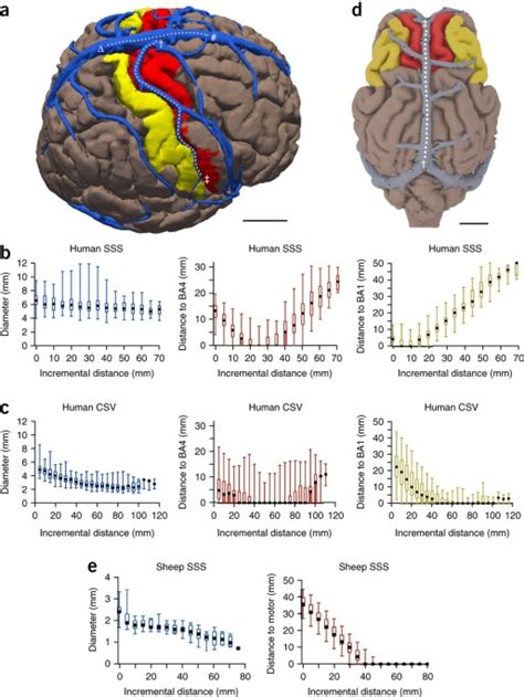 minimally invasive endovascular stent electrode array for high fidelity chronic recordings of