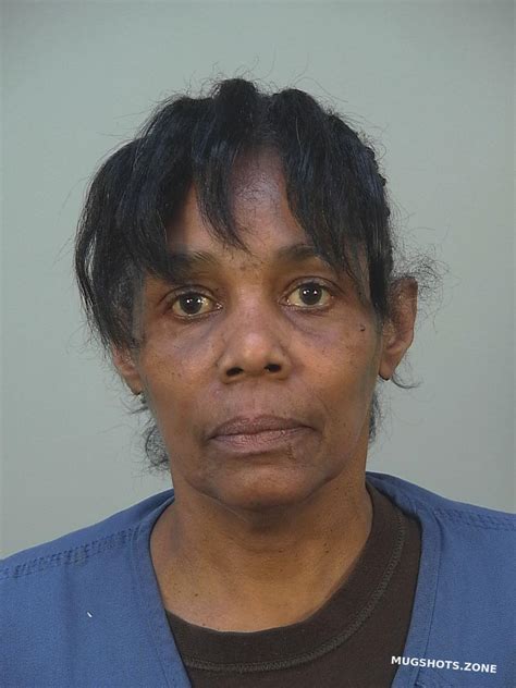 Stevenson Debra Ann 02 01 2023 Dane County Mugshots Zone