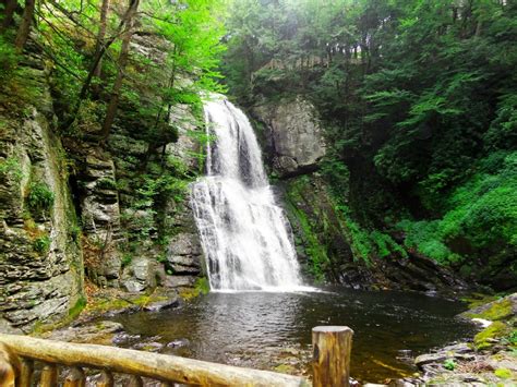 Bushkill Falls Zillow At Tracy Jacoby Blog