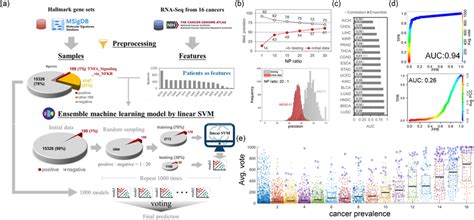 Performance Of The Ensemble Learning Model A Overview Of The Model Download Scientific Diagram