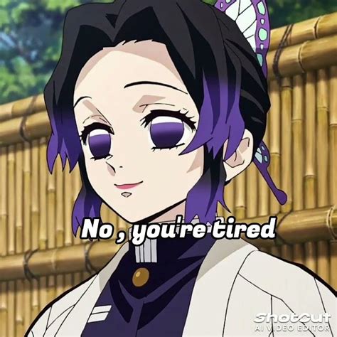 Shinobu And Giyu Funny Moments Demon Slayer Anime Shinobu Giyu