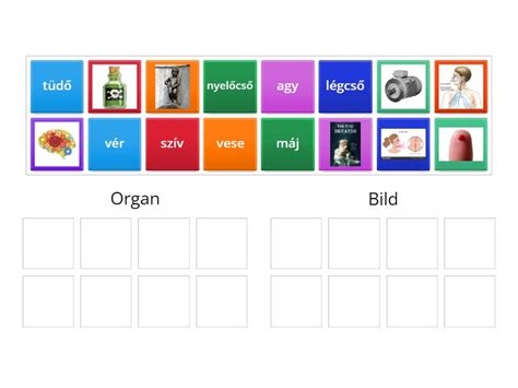 Berolina Ii Group Sort