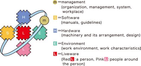 Shell Model Of Human Factors Shell Model Updated For 2017 With