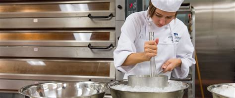 Explore Degrees And Programs Colorado Mesa University