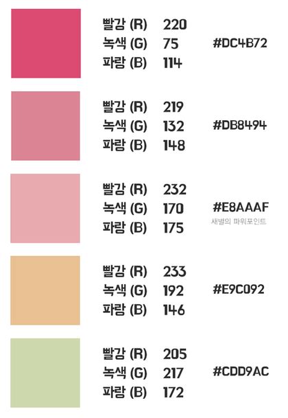 Ppt 색조합 Ppt 색상 테마 069 로즈부케 Ppt 다운로드 견본 색깔 색 배합