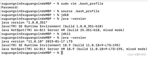 【mac多版本jdk配置】 Csdn博客