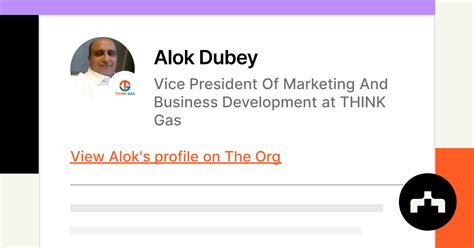 Alok Dubey Vice President Of Marketing And Business Development At