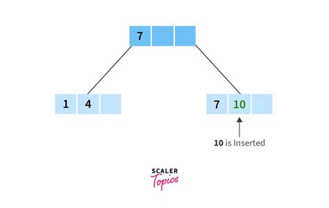 B Tree Scaler Blog