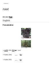 The Anatomy Of Roots Functions Structure And Importance In Course Hero
