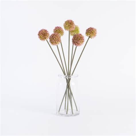 Single Allium Stem Pillow Talk