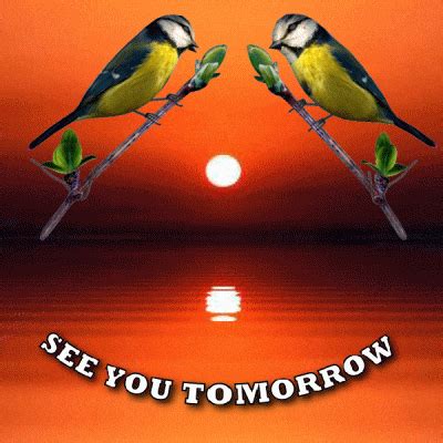 See You Tomorrow Sunset 