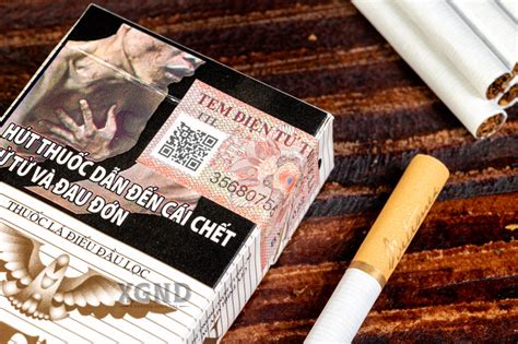 Xgnd Phân Phối Thuốc Lá Net Trên Toàn Việt Nam