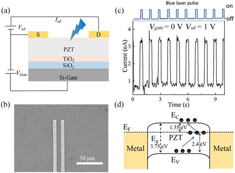 A Schematic Diagram And B Top View Sem Image Of The Pzt Download Scientific Diagram
