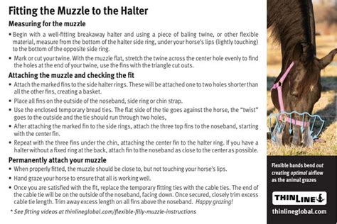 Flexible Filly Muzzle Instructions Thinline Global
