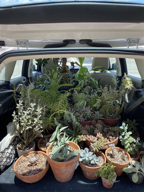 Im Moving And I Managed To Fit All My Plants Into Two Big Loads In My