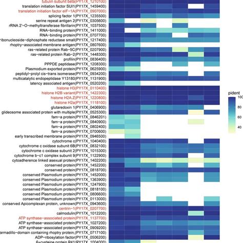 Functional Enrichment Analysis Of Differentially Expressed Mrnas A B