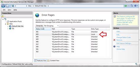 Custom Error Pages And Wcf Exceptions In Iis And A Case Of Bad Ui