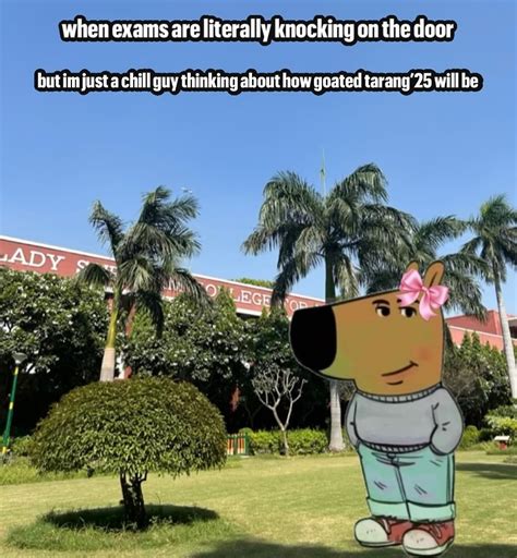 Annual Cultural Meet Of Lsr Du Lsrtarang • Instagram Photos And Videos