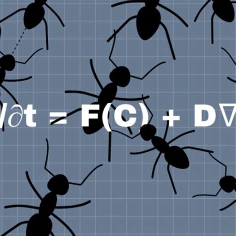Tag Turing Patterns Ars Technica