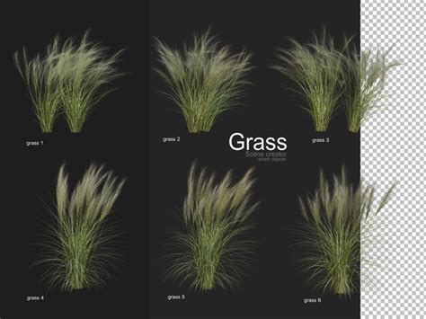 Premium Psd Various Types Of Grass Rendering