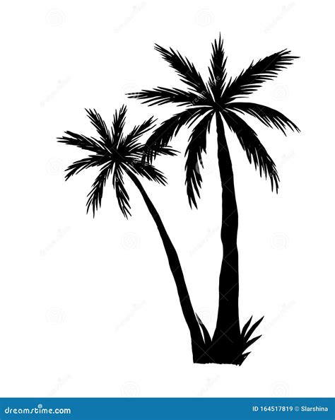 Vector Palms Pattern 78939900