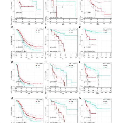 The Expression Of Transporter Associated With Antigen Processing 1 Download Scientific