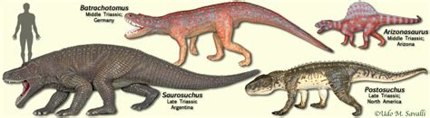 Triassic Crocodiles