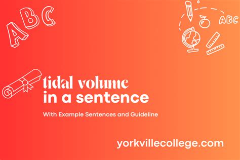 How To Use Tidal Volume In A Sentence Easy Examples